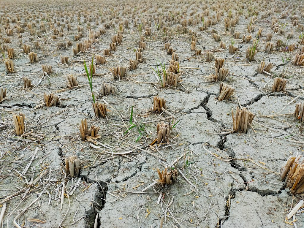 Rising global temperatures point to widespread drought - Tyndall Centre ...