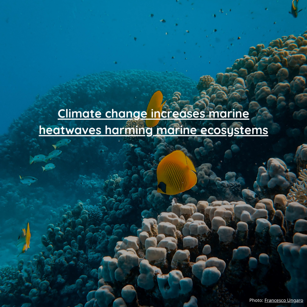 ScienceBrief - Tyndall Centre for Climate Change Research